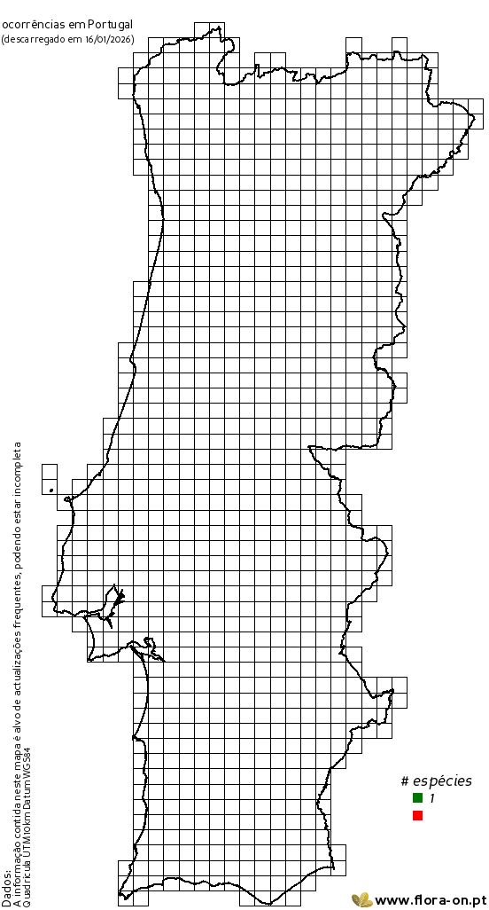 Flora-On | Flora de Portugal